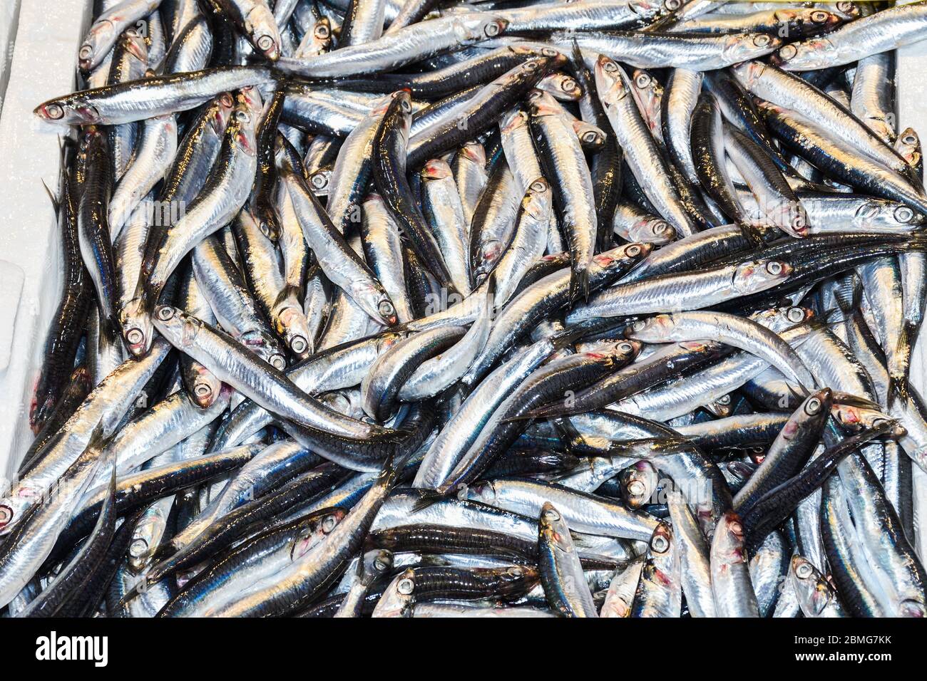 Istanbul, Turkey, 20.12.2019: Fresh seafood on the counter top of the ...