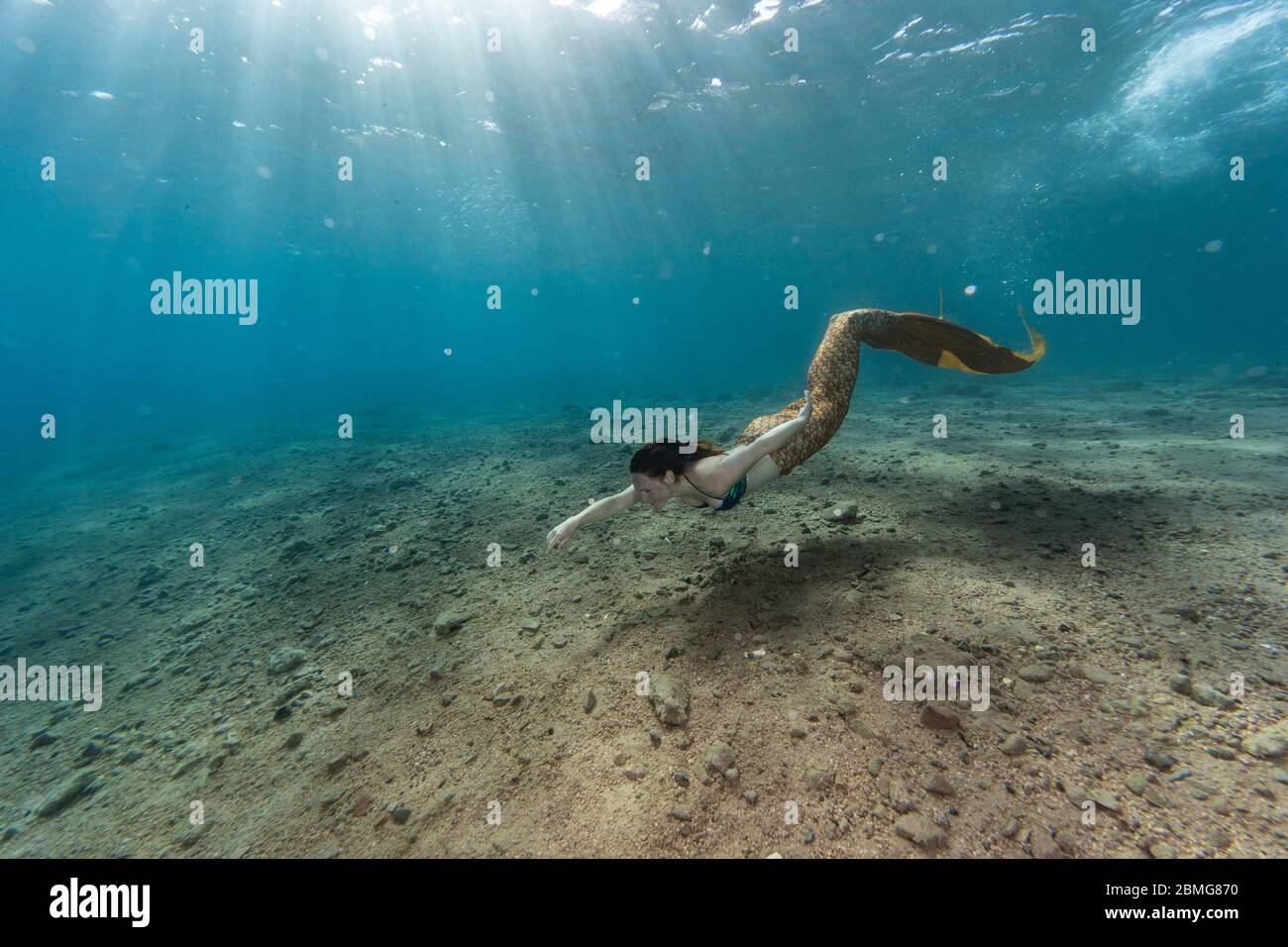 Mermaid Swimming In The Ocean – Ice Mermaid – ATLG