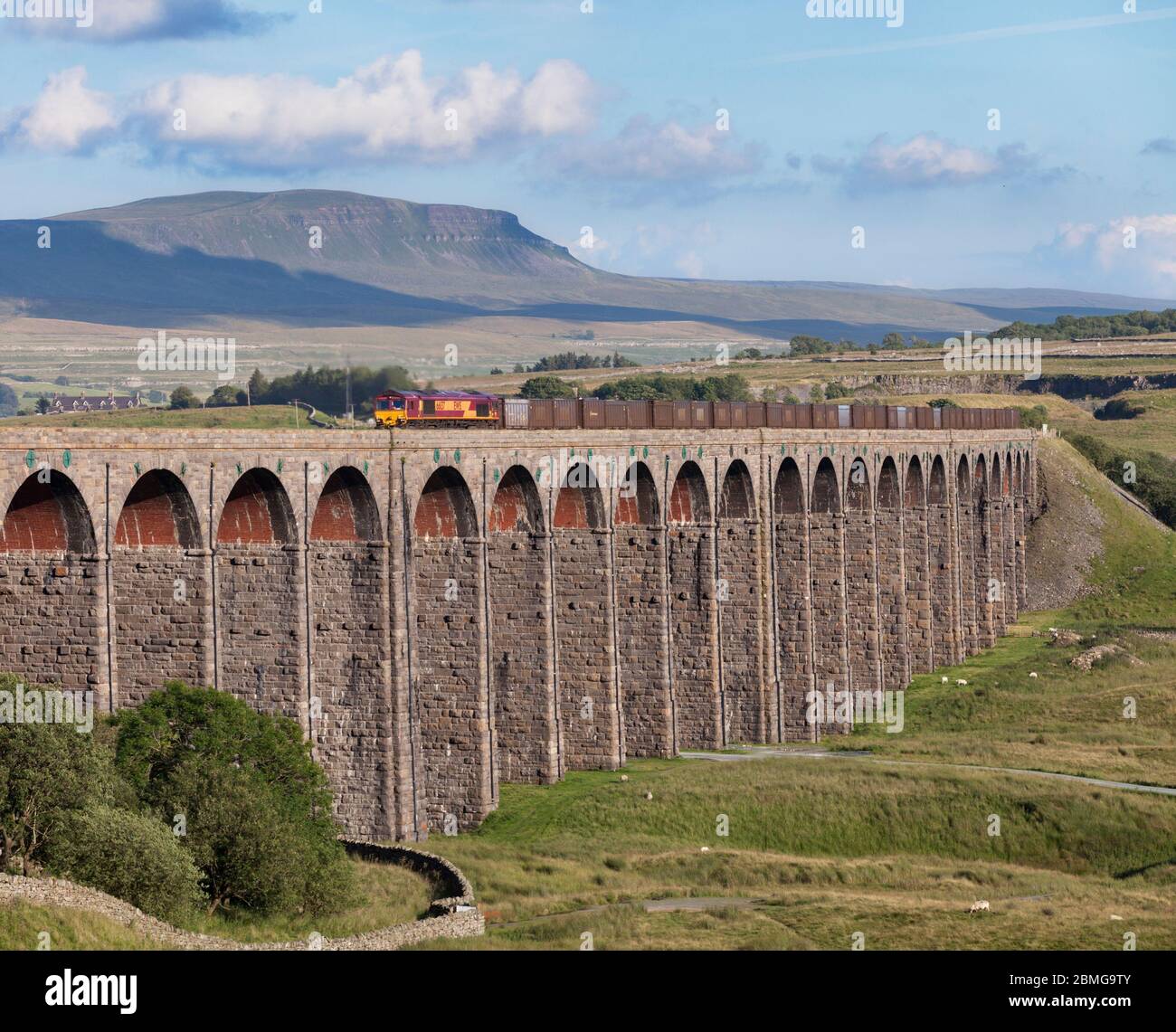 DB Cargo EWS livery class 66 locomotive 66137 crossing Ribblehead ...