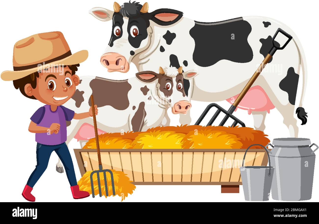 Farmboy feeding cows on white background illustration Stock Vector ...