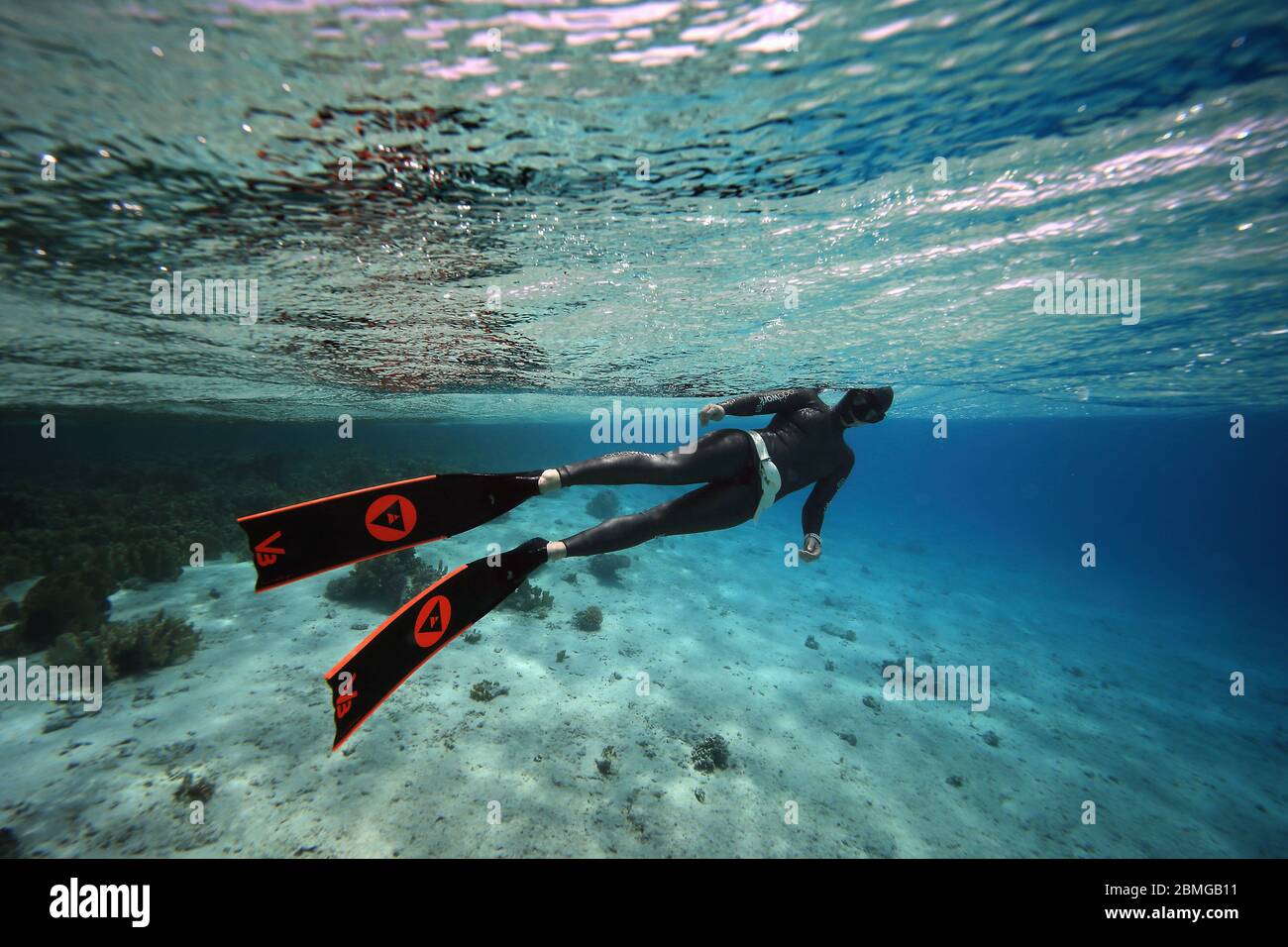Free Diver Diving Underwater in the Red Sea Stock Photo - Alamy