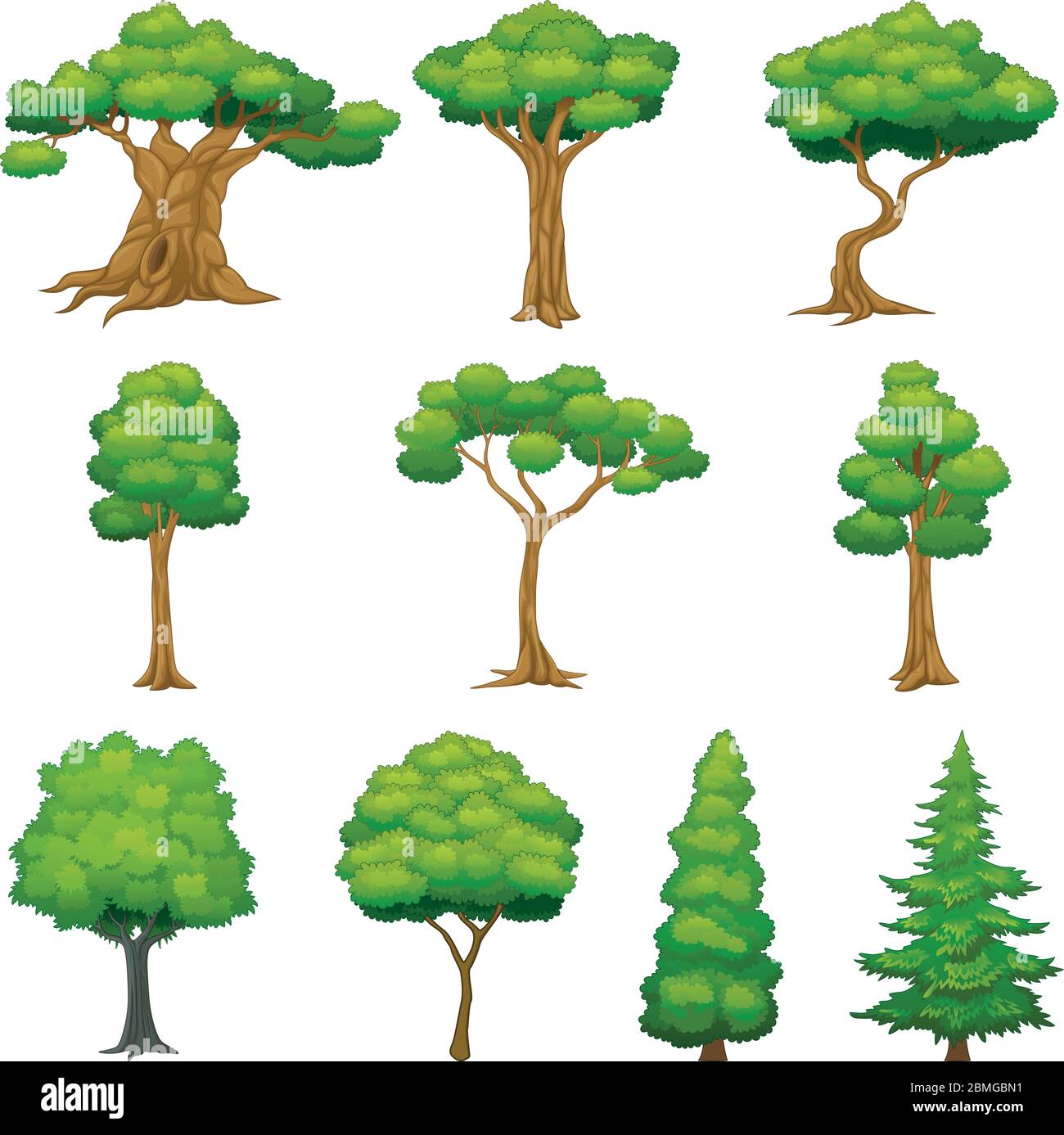 Diversity of trees set Stock Vector Image & Art - Alamy
