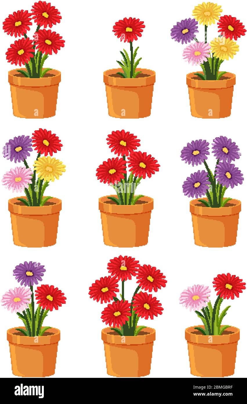 Set of flower in the plant pot illustration Stock Vector Image & Art ...