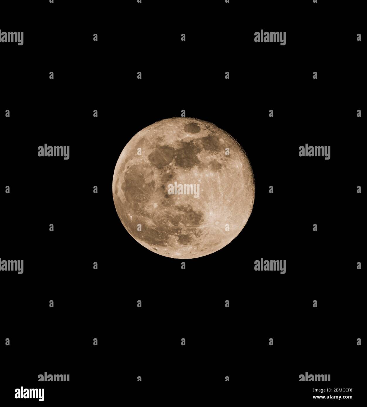 Flower full moon, last full moon of a year taken when risen high in the ...