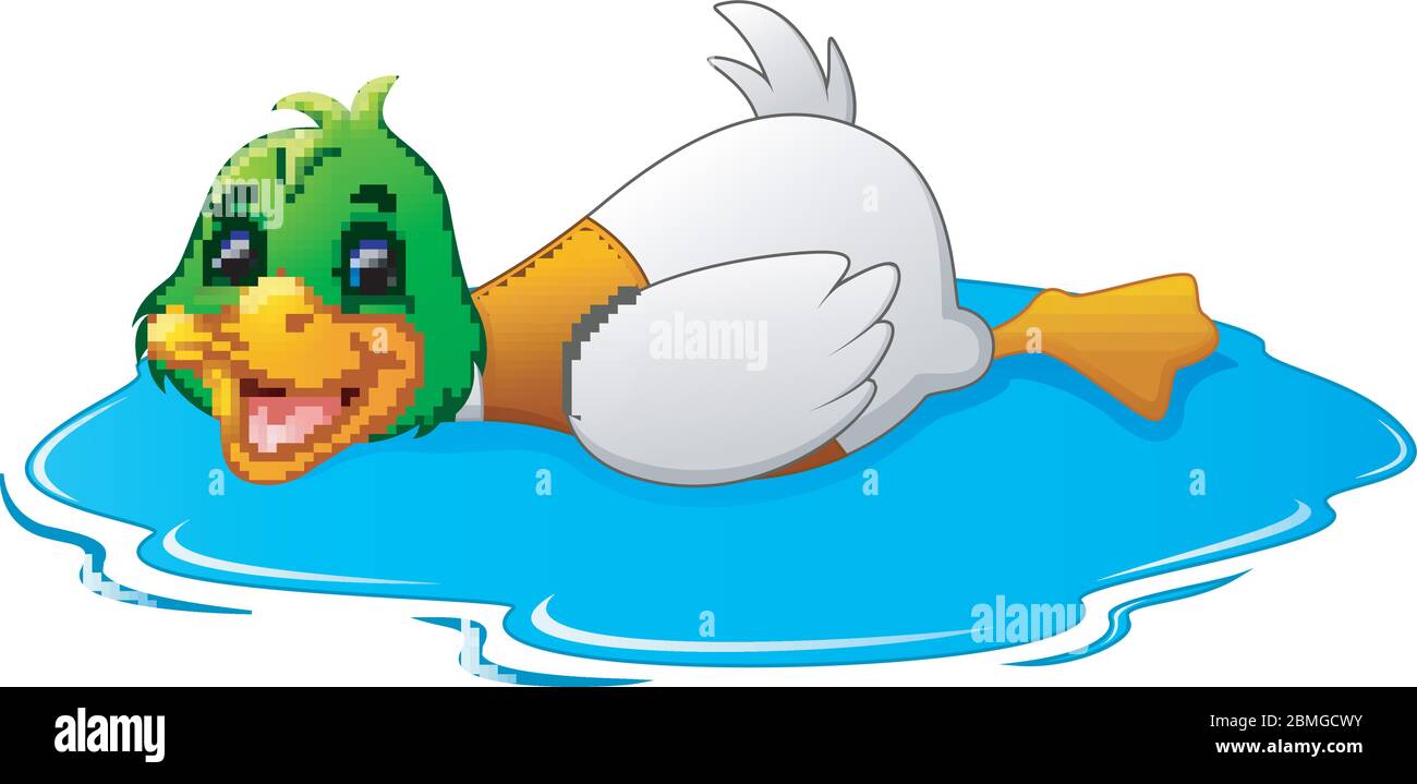 Cartoon ducks floats on water Stock Vector Image & Art - Alamy