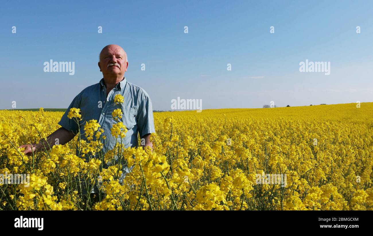 Old farmer in field of rapeseed Stock Photo - Alamy