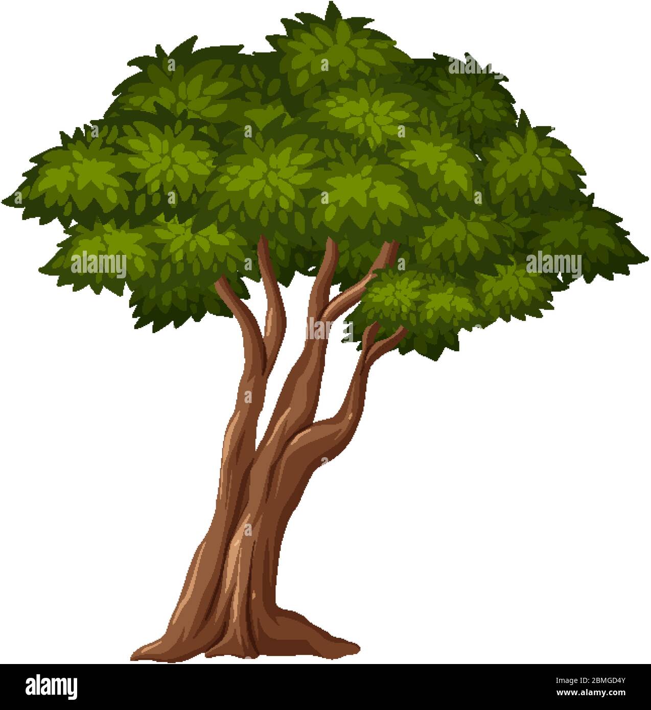 One big tree on white background illustration Stock Vector Image & Art ...