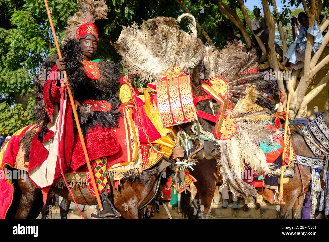 Nobleman rider dressed in a colourful outfit mounting an embellished ...