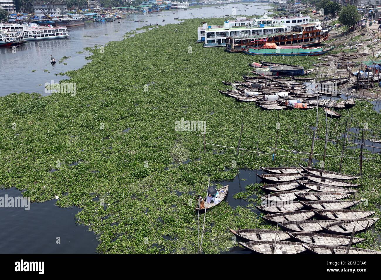 Dhaka, Bangladesh - May 09, 2020: Water hyacinths sit idle in the ...