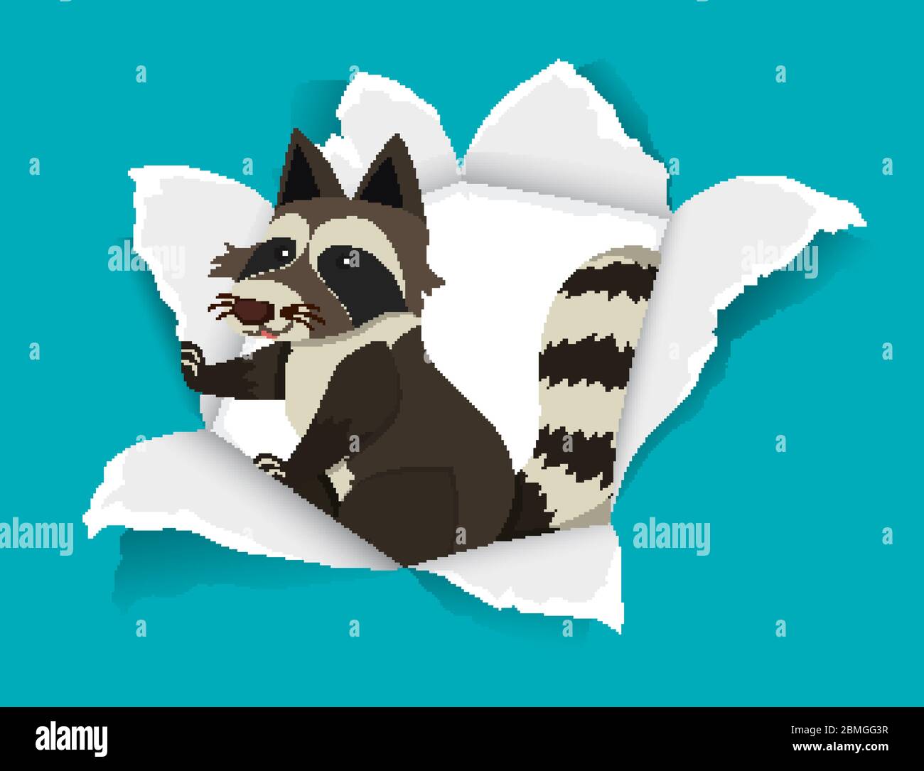Background template design with wild raccoon on blue paper illustration ...