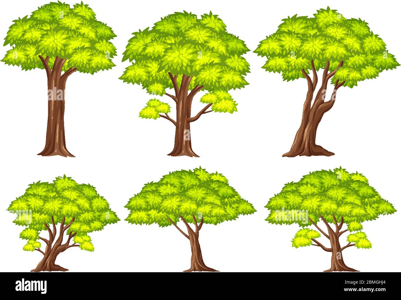 Big green trees on white background illustration Stock Vector Image ...