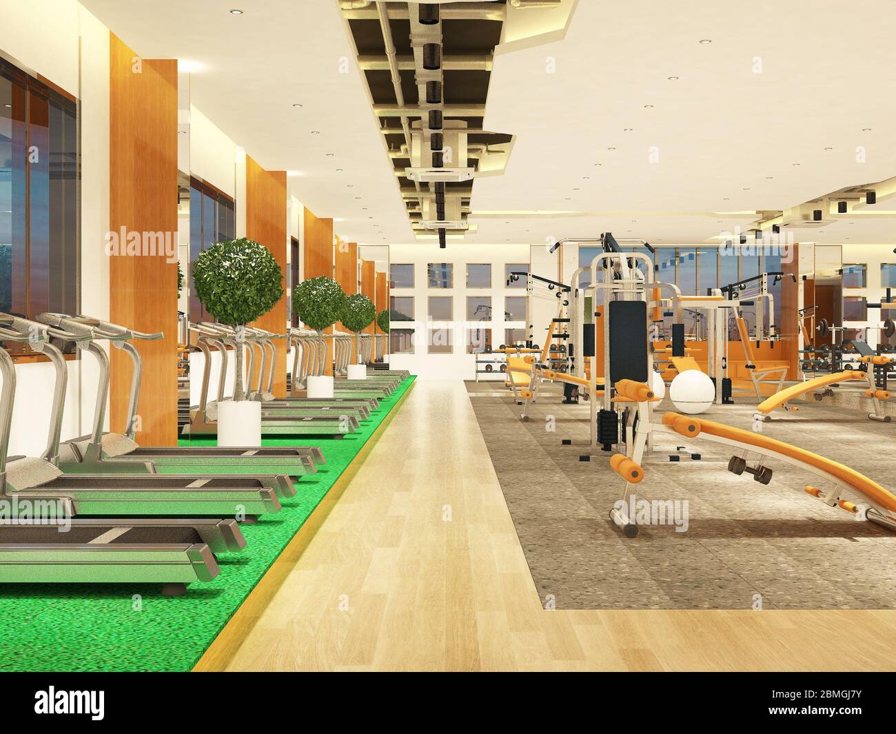 3d rendering modern gym Stock Photo - Alamy