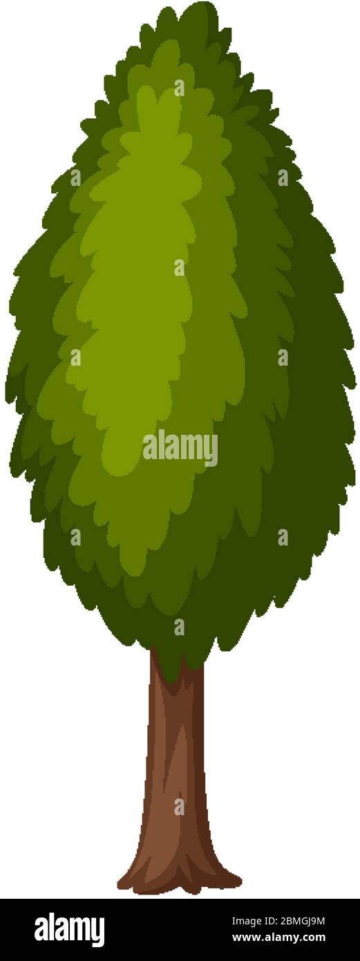 One big tree on white background illustration Stock Vector Image & Art ...