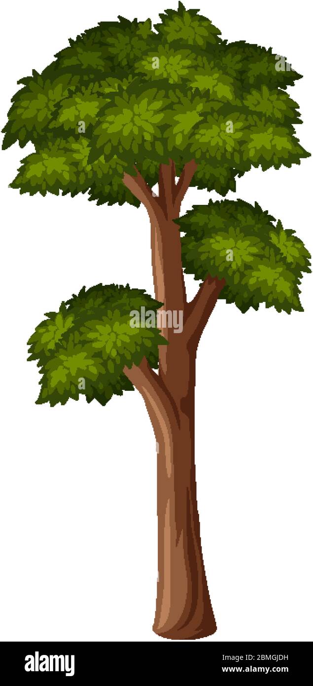 One big tree on white background illustration Stock Vector Image & Art ...