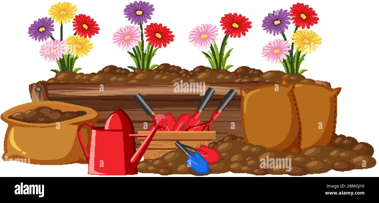 Colorful flowres in wooden box illustration Stock Vector Image & Art - Alamy