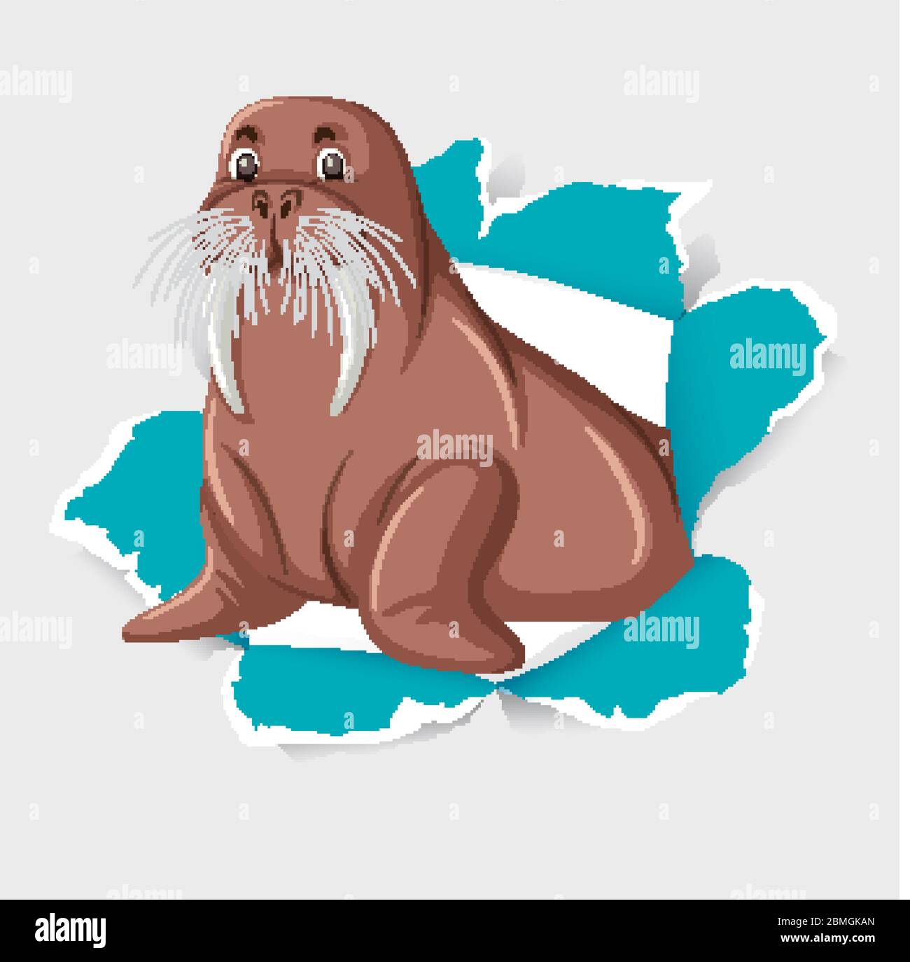 Walrus poster hi-res stock photography and images - Alamy