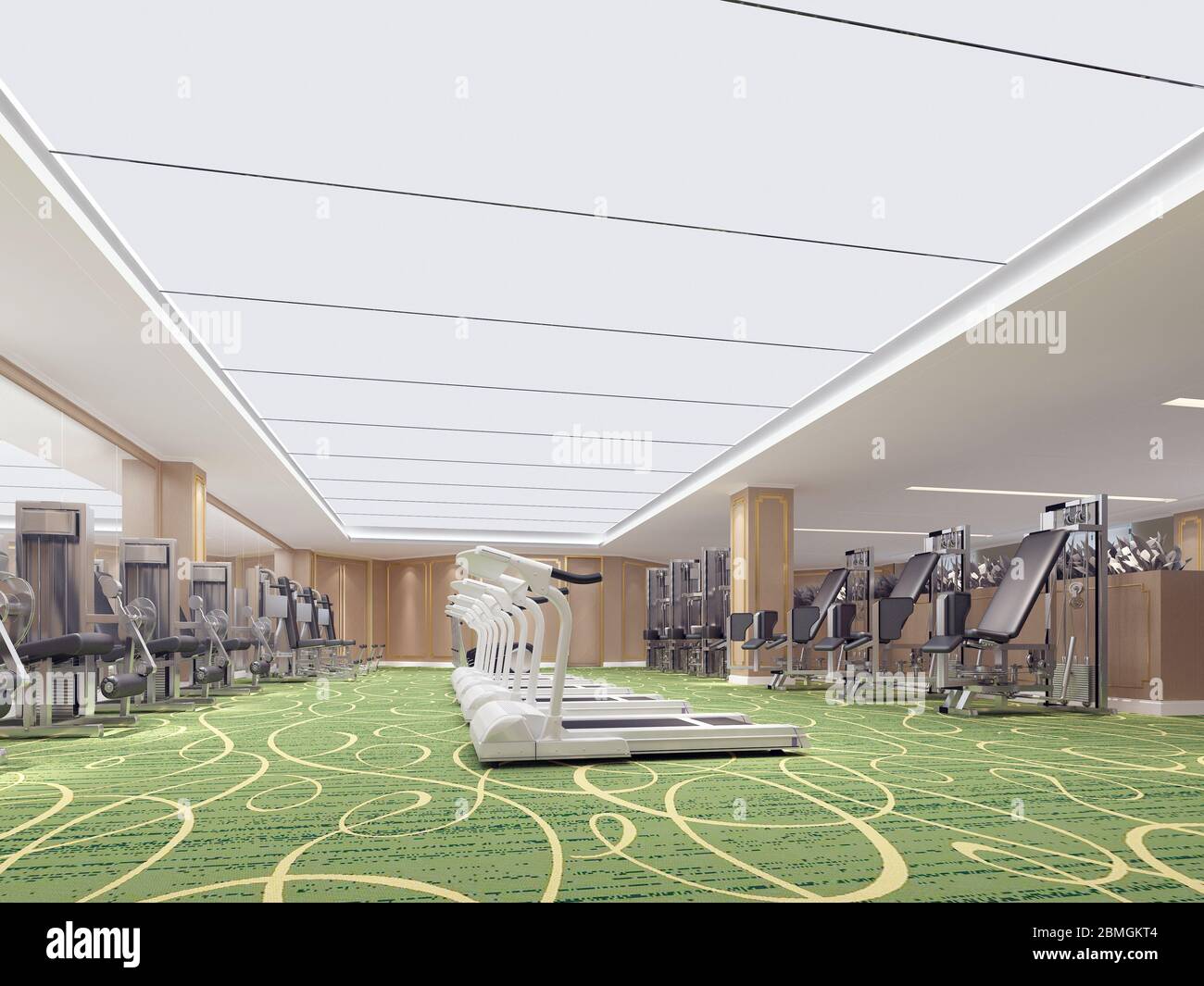 3d rendering modern gym Stock Photo - Alamy