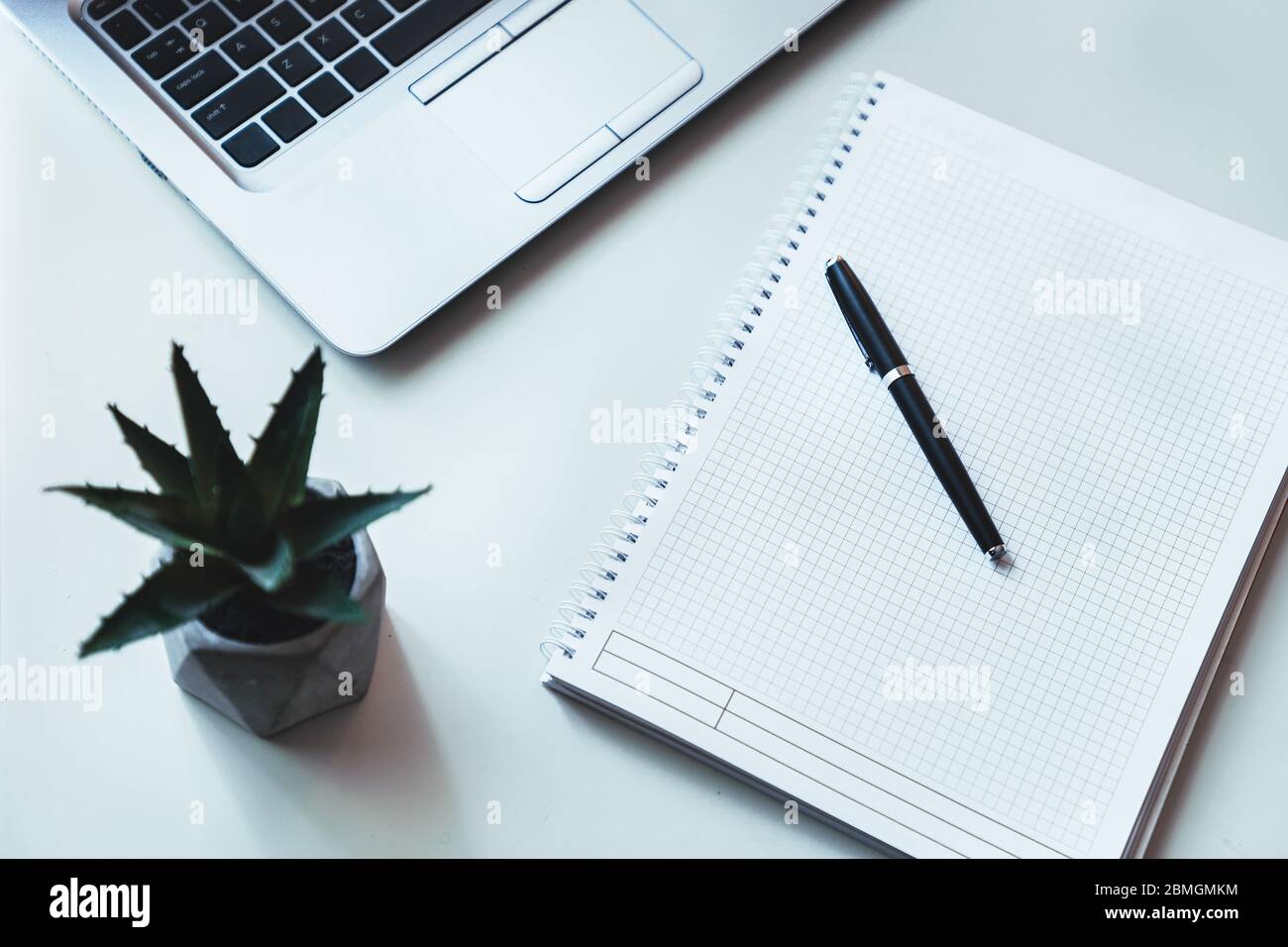 Modern white office desk table with laptop, pen and green plants. White ...