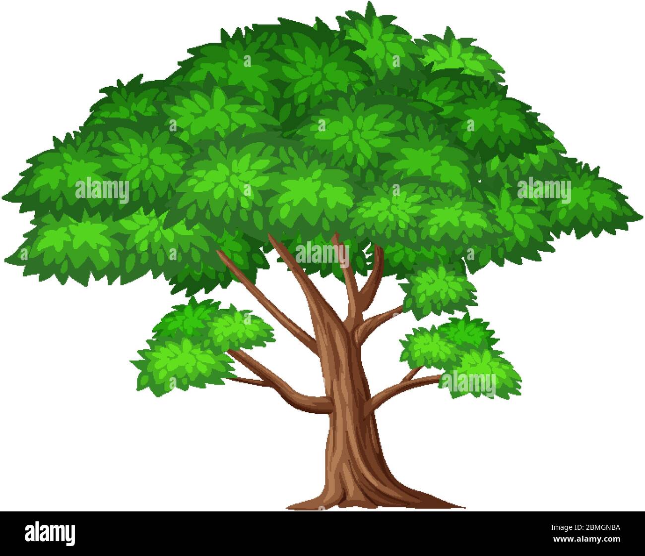 One big tree on white background illustration Stock Vector Image & Art ...