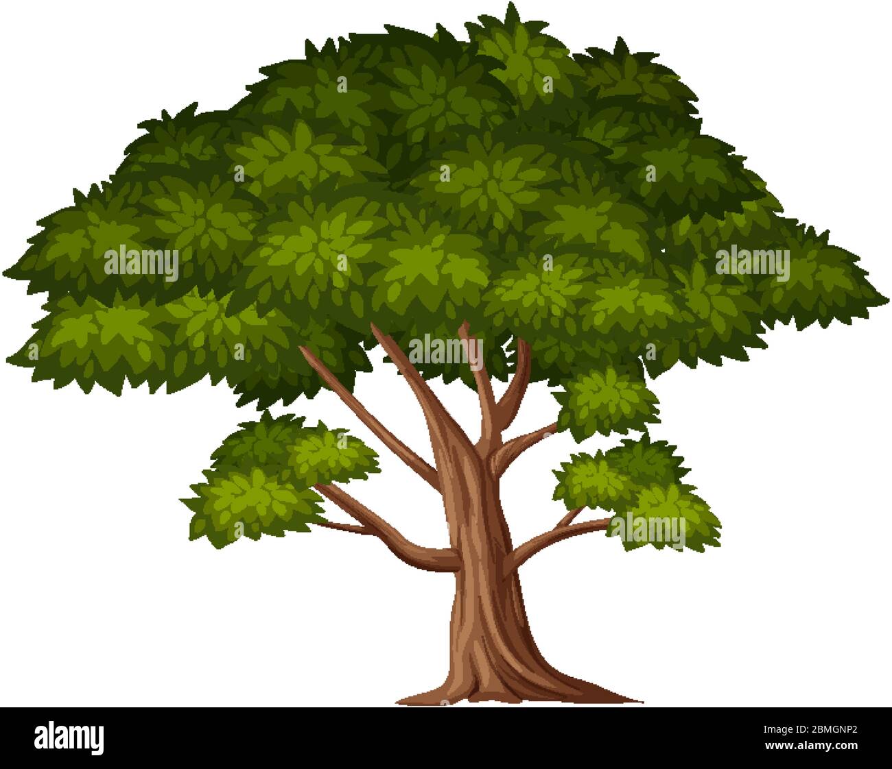 One big tree on white background illustration Stock Vector Image & Art ...