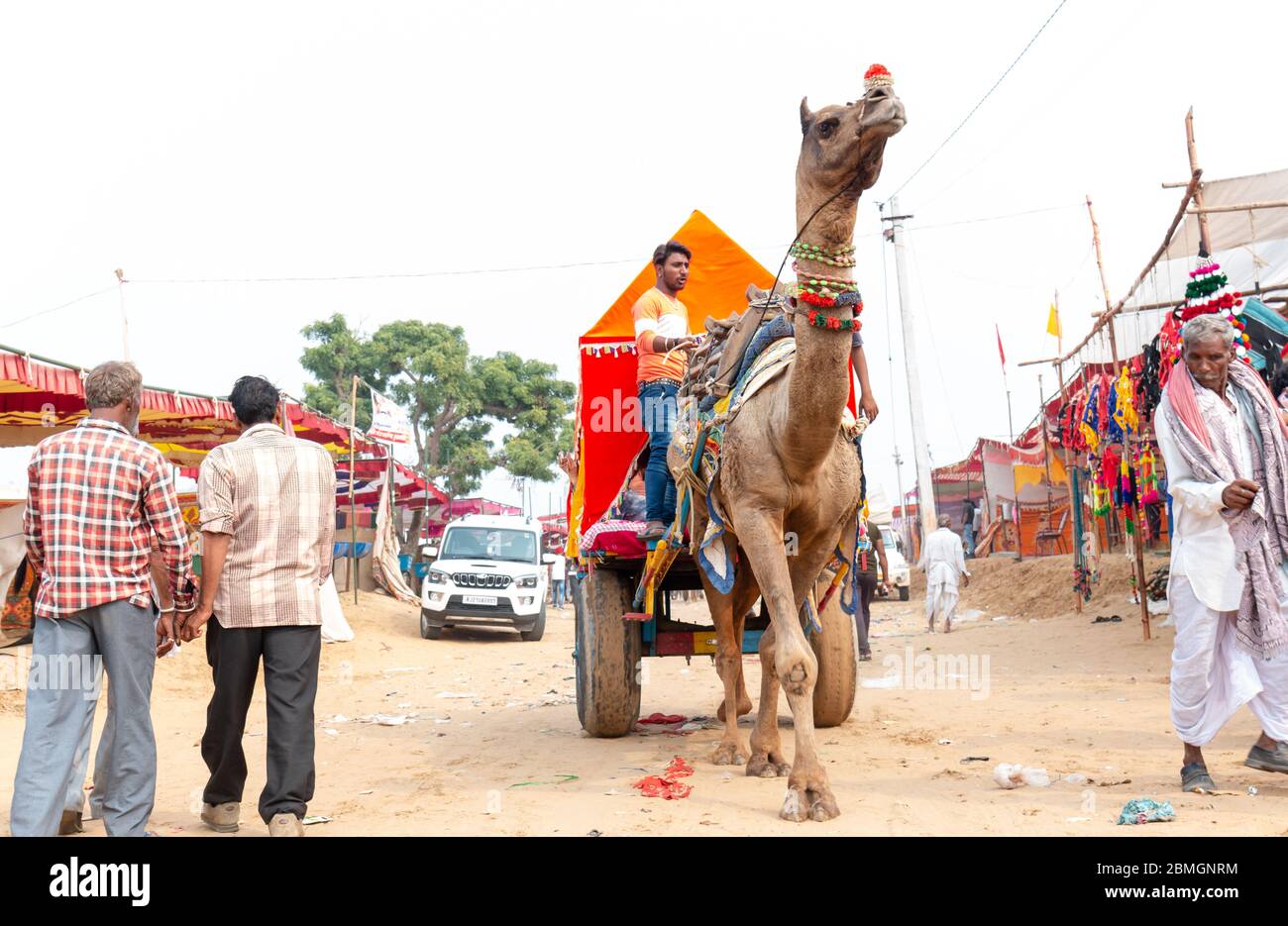 Decorated camel cart hi-res stock photography and images - Alamy