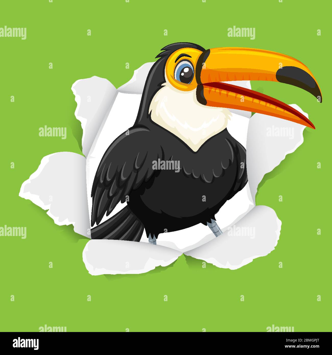 Background template design with wild toucan bird on green paper ...