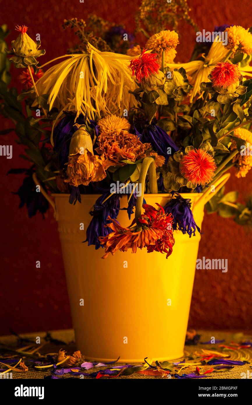 Wilting Flowers High Resolution Stock Photography and Images - Alamy