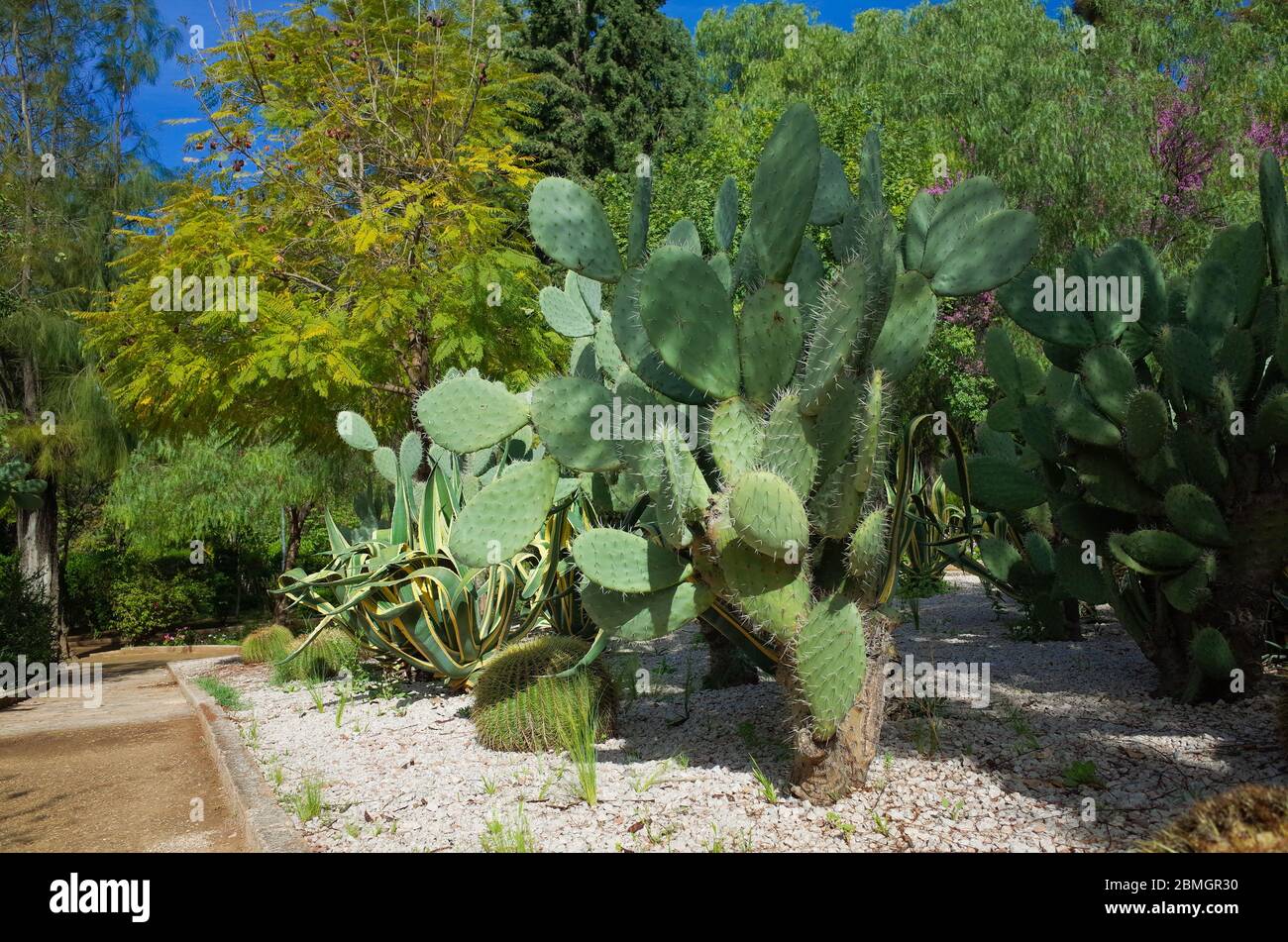 Le jardin hi-res stock photography and images - Alamy
