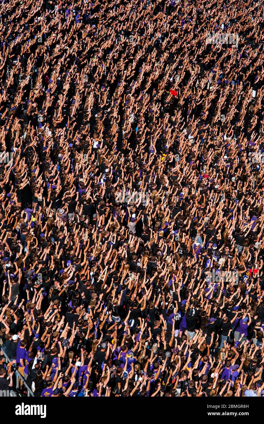 Cheering Fans College High Resolution Stock Photography and Images - Alamy
