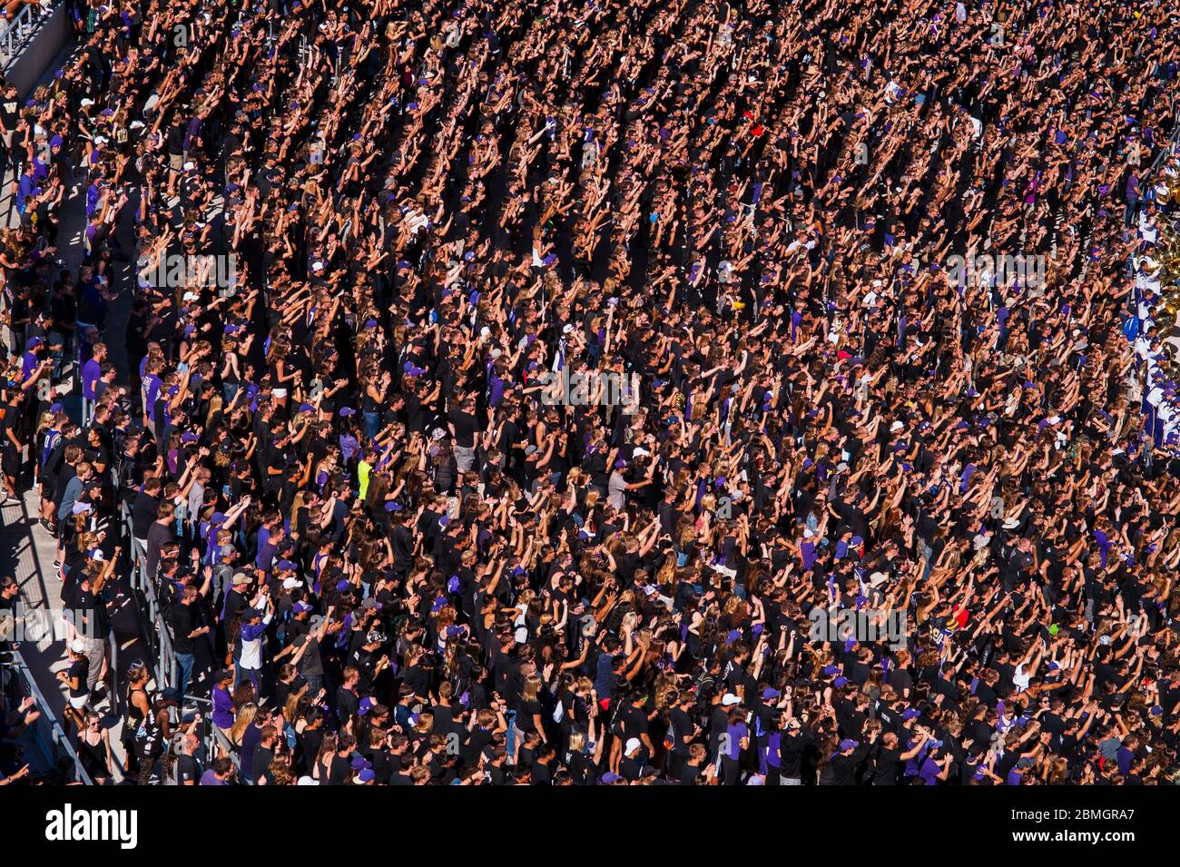 University of Washington College football fans yelling and raising ...