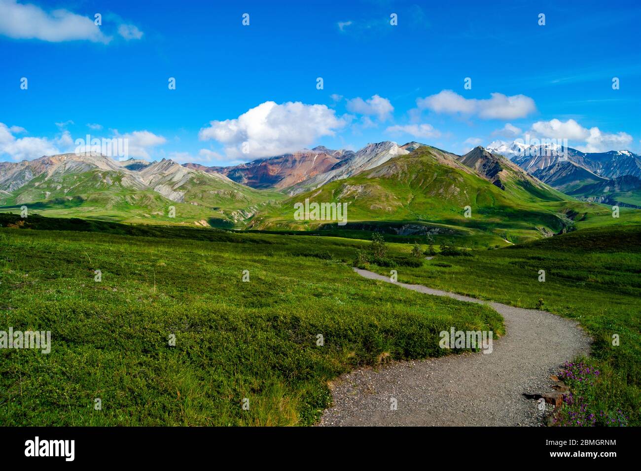 Sunny Mountain Range in Denali Stock Photo - Alamy