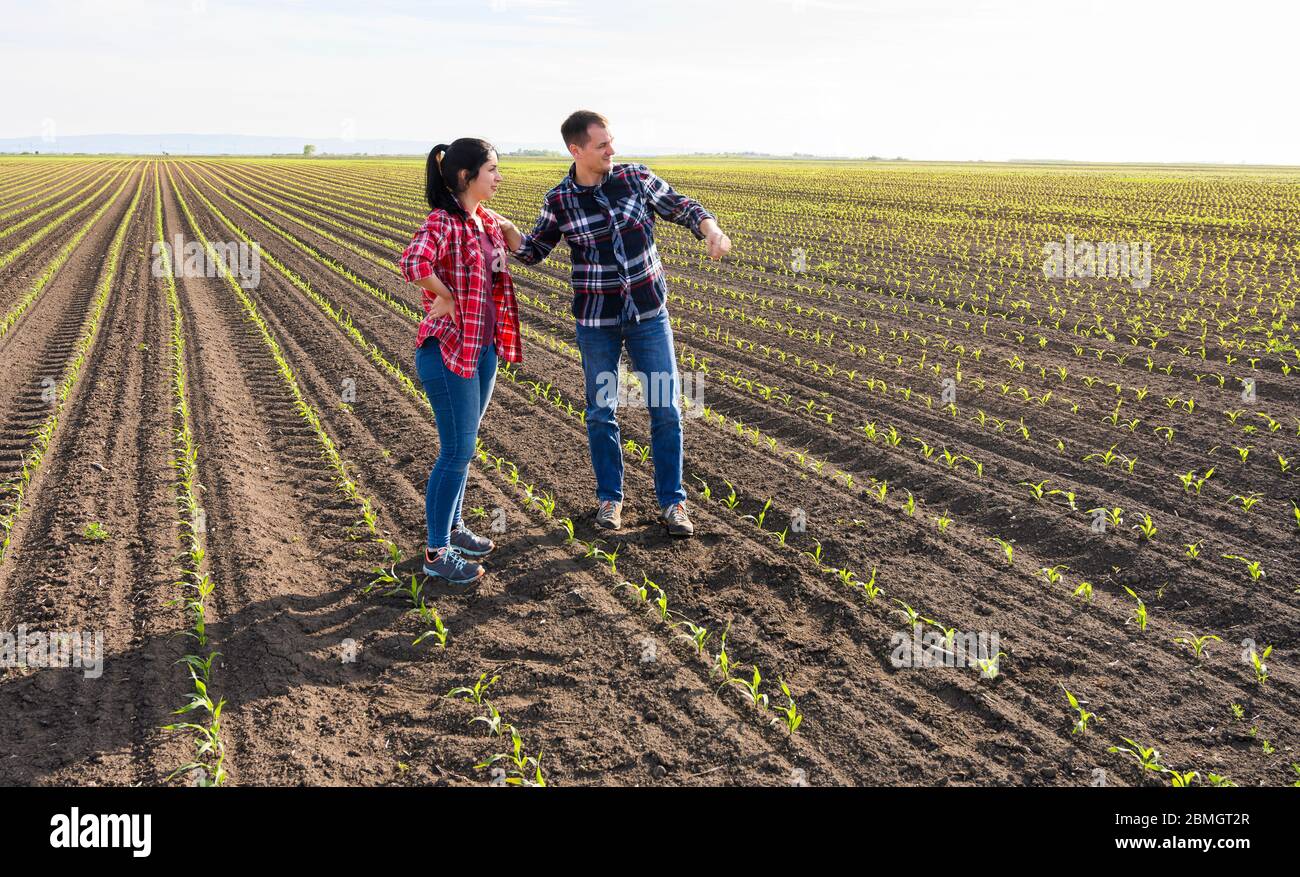 Planted corn hi-res stock photography and images - Alamy