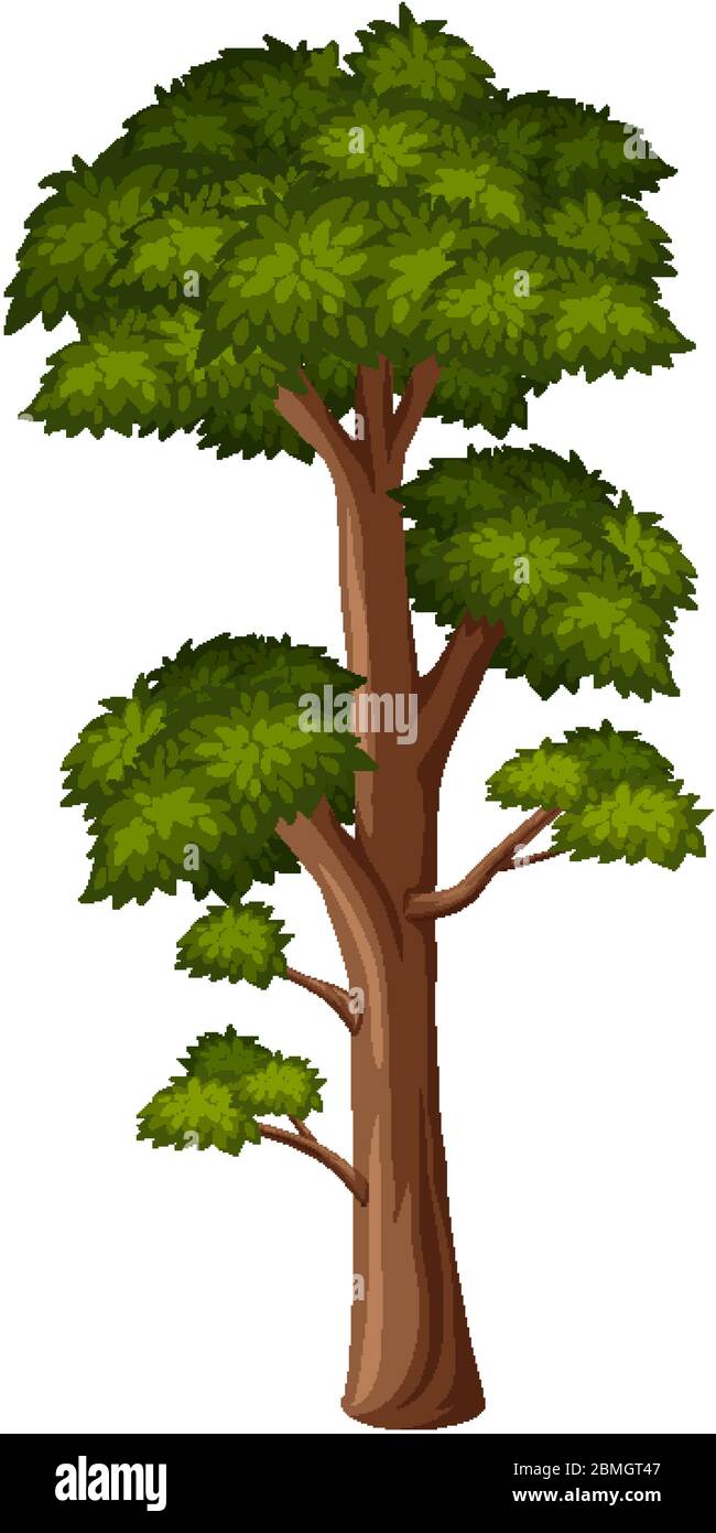 One big tree on white background illustration Stock Vector Image & Art ...