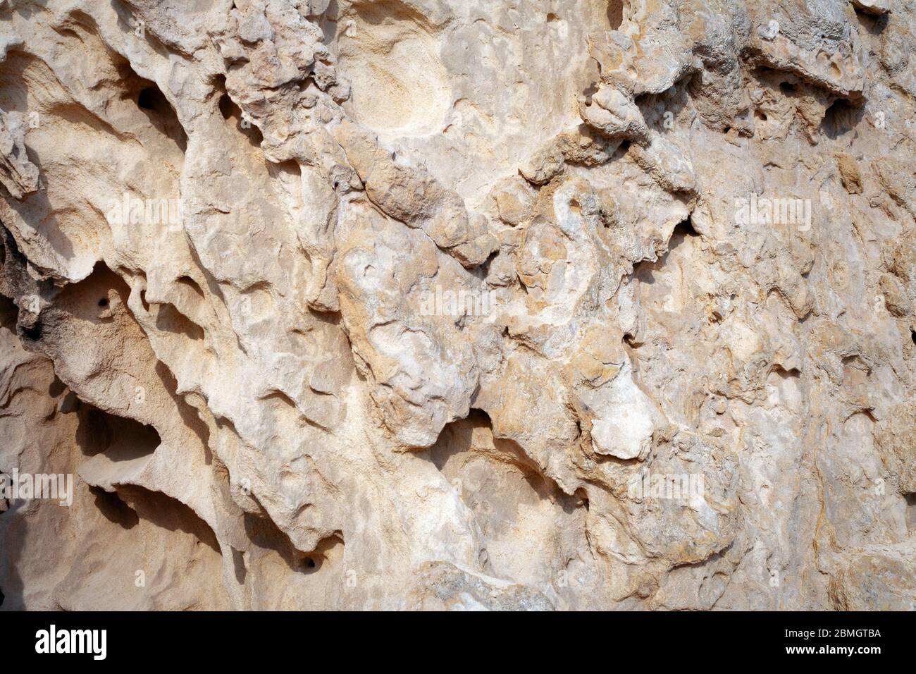 Surface sandy rock. Rocky shore of the Caspian Sea Stock Photo - Alamy
