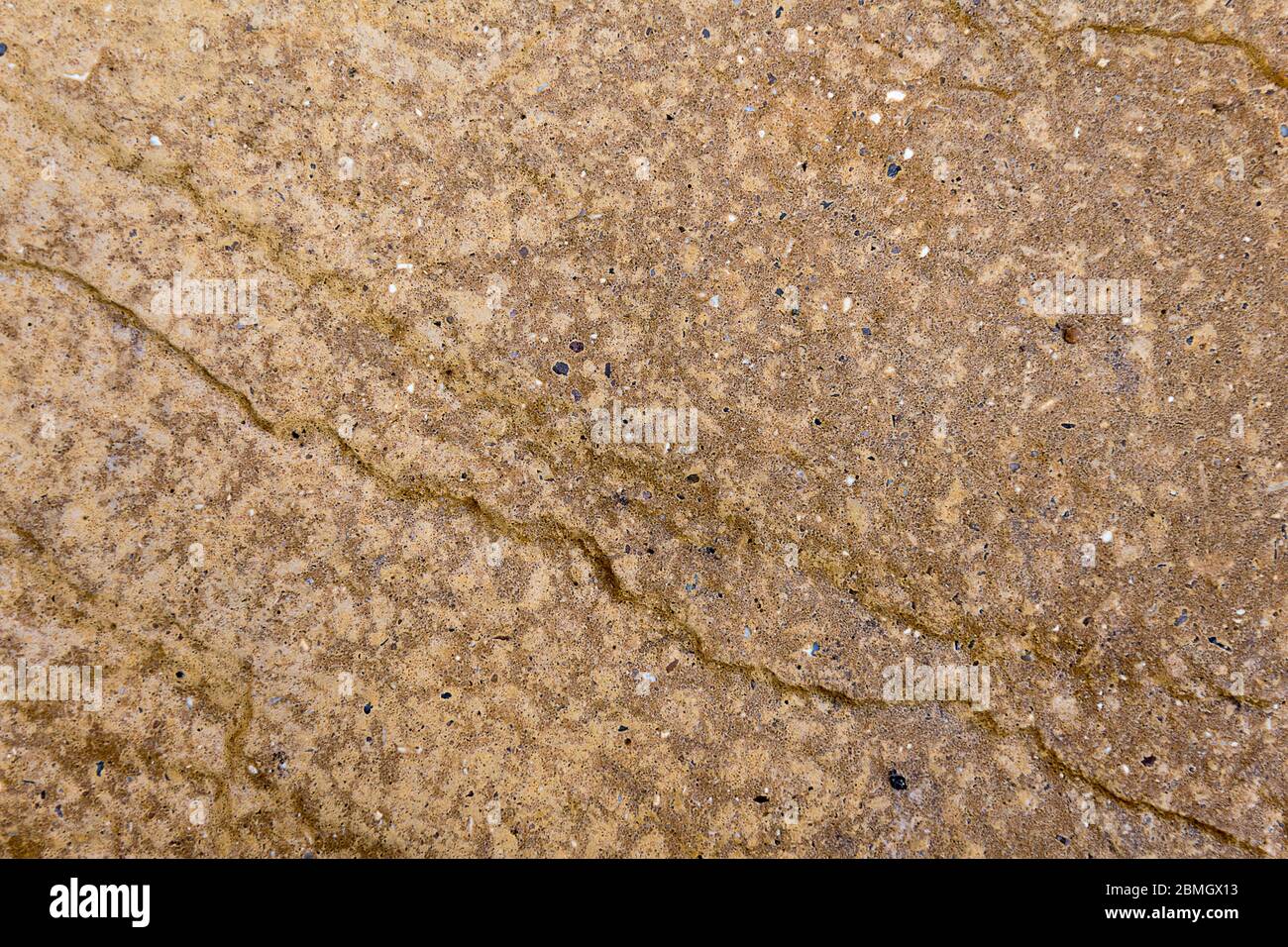 Concrete patio garden path slab for background detail and texture in ...