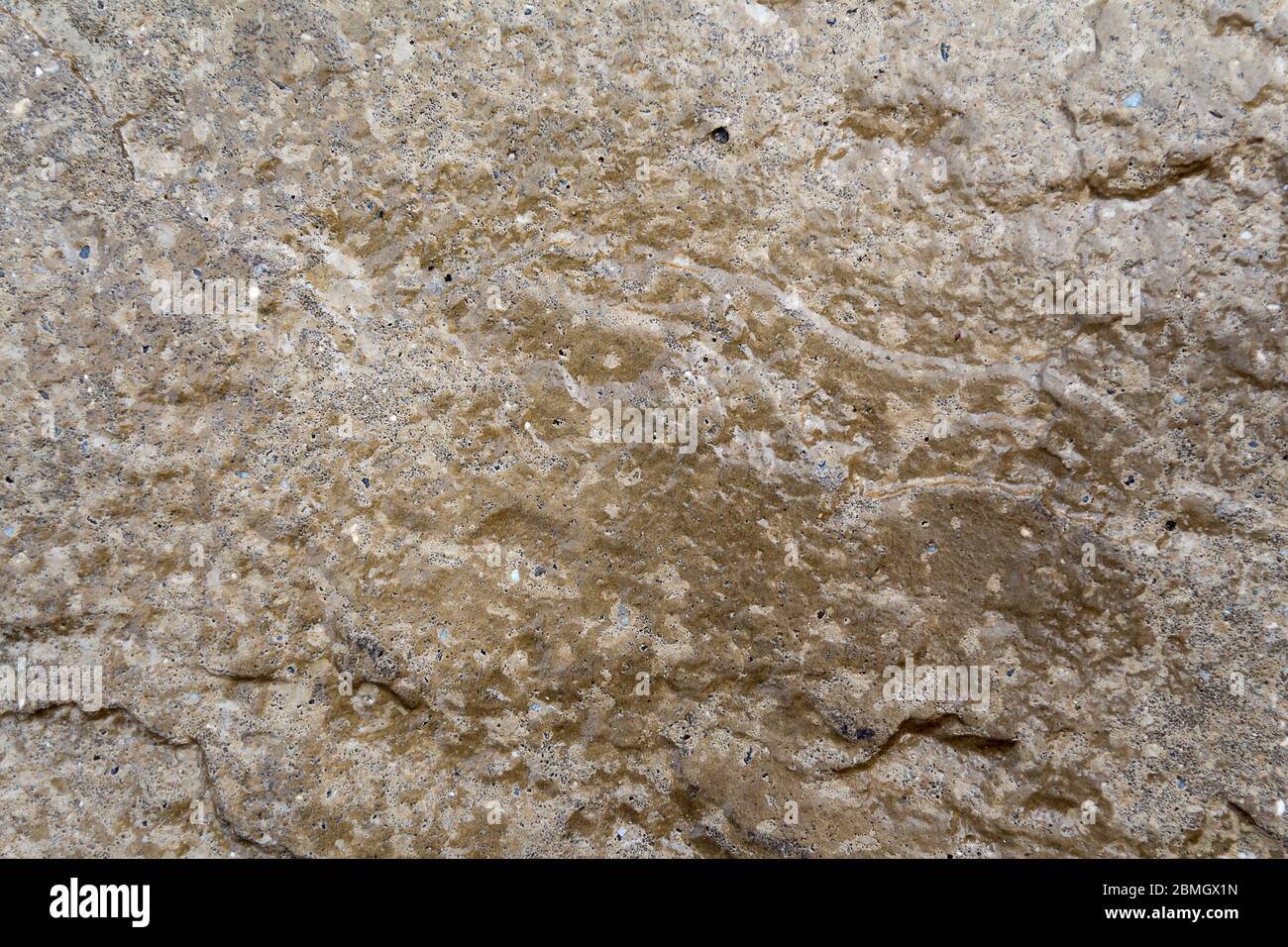 Concrete patio garden path slab for background detail and texture in ...