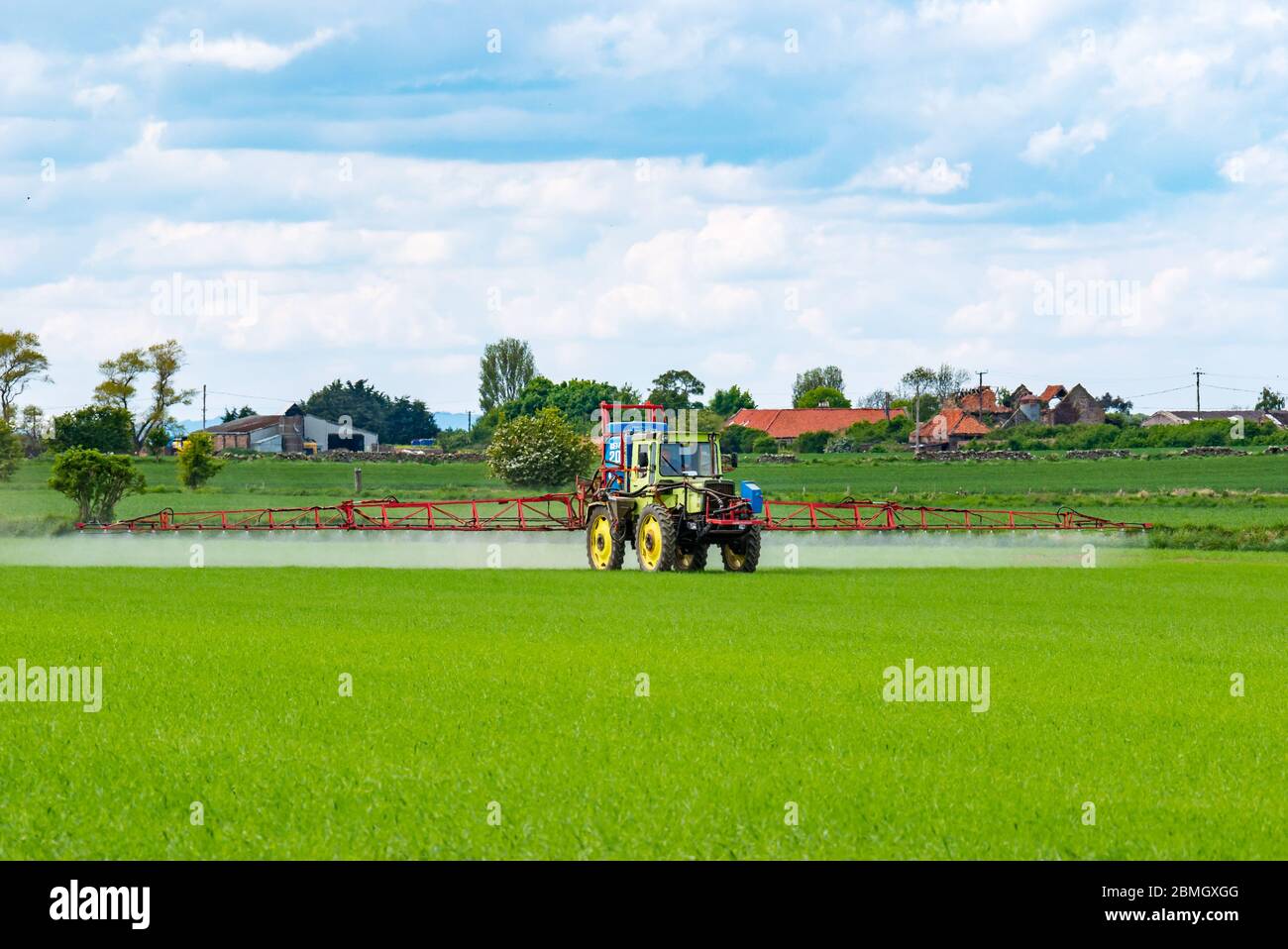 Colourful tractor spraying crop field on sunny Spring day, East Lothian ...