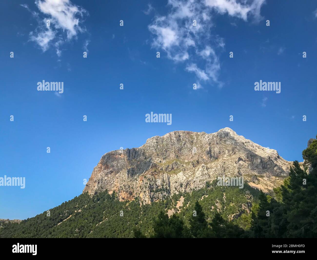 Puig major hi-res stock photography and images - Alamy