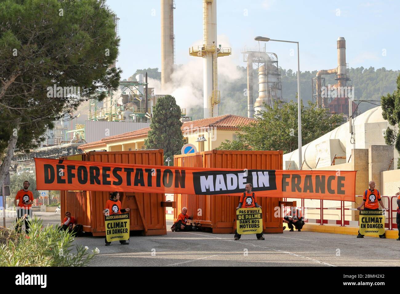 Deforestation protest hi-res stock photography and images - Alamy