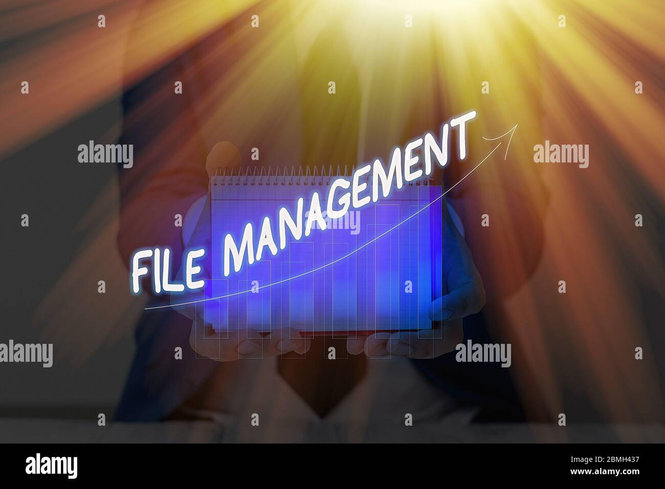 Conceptual hand writing showing File Management. Concept meaning ...