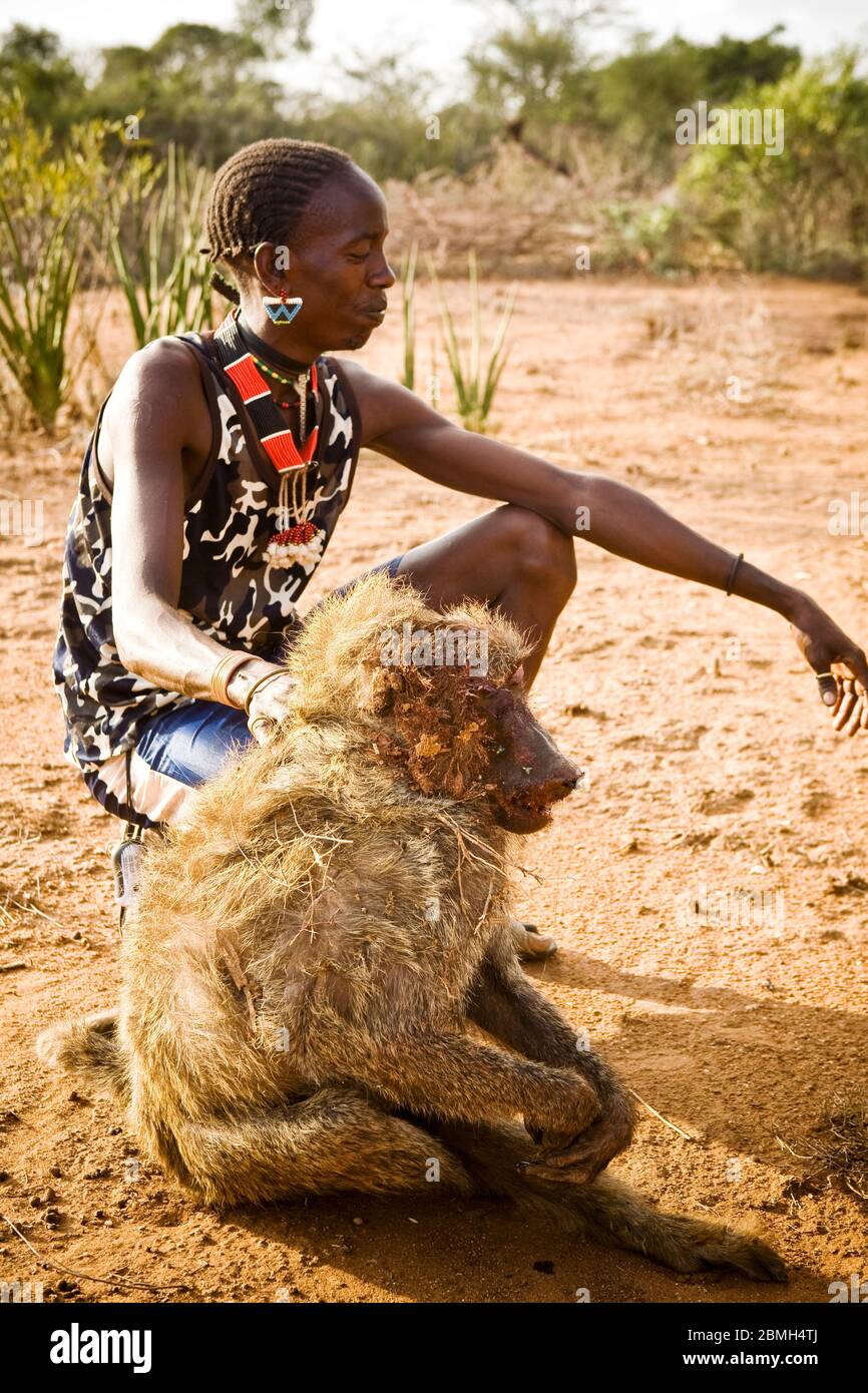 Baboon attack hi-res stock photography and images - Alamy