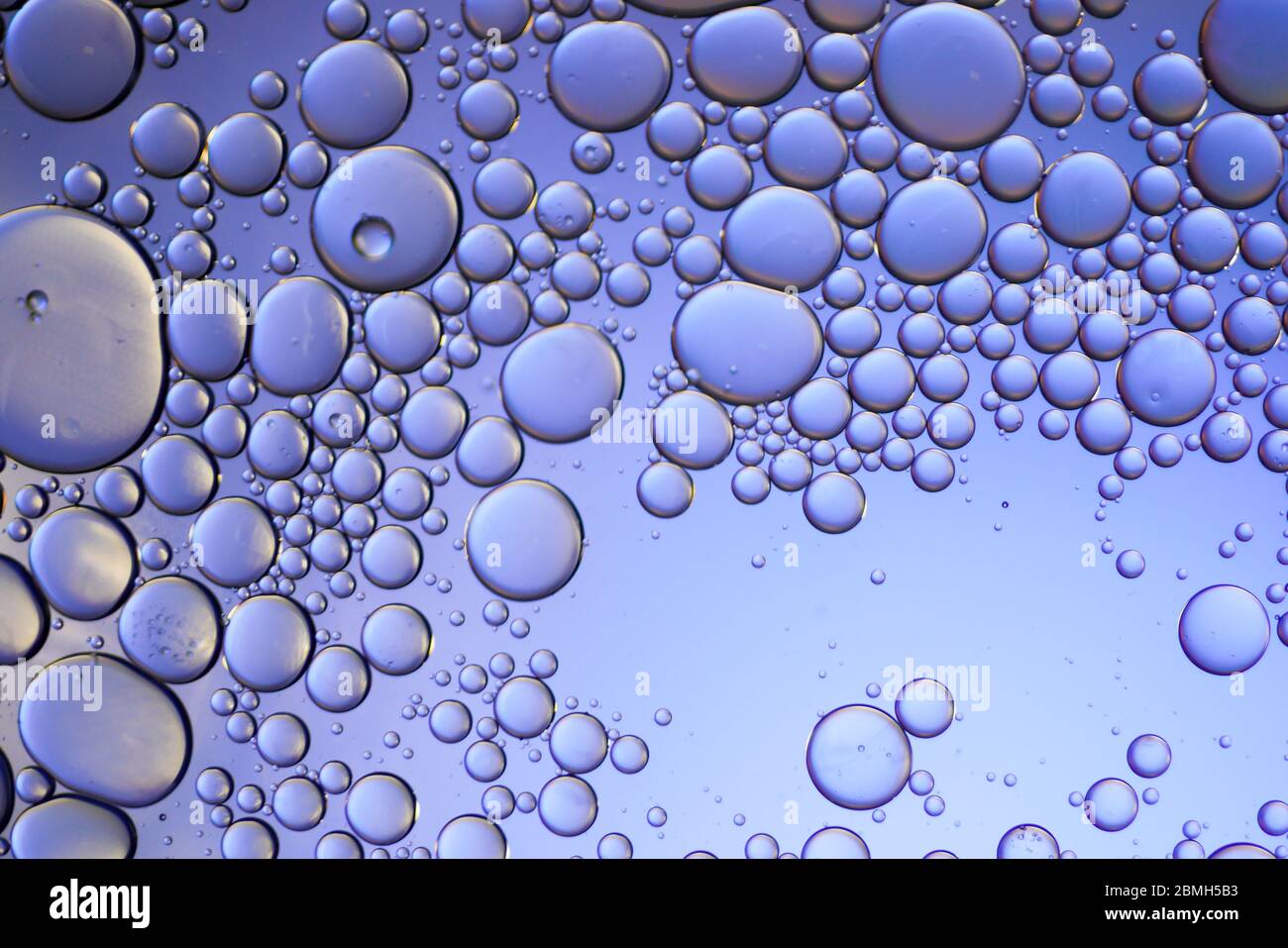 Colorful artistic of oil drop floating on the water Stock Photo - Alamy