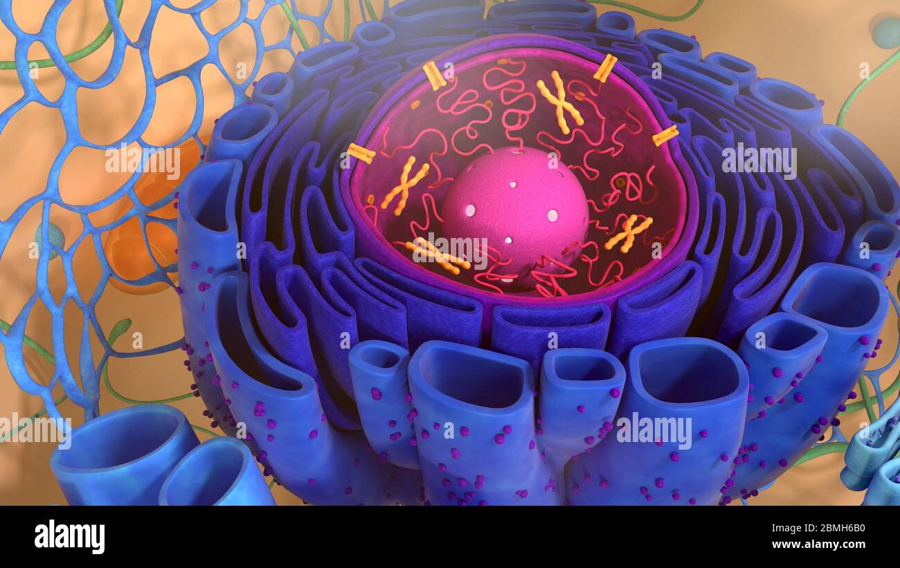 3d render. 3d illustration cell modell Stock Photo - Alamy