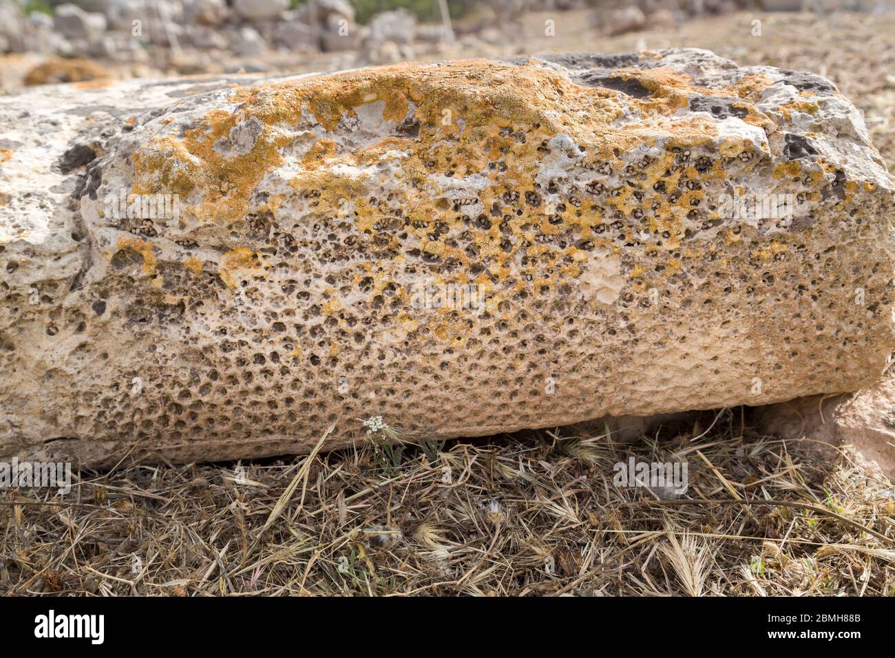 Decorative pitted stone in the ruins of Skorba temple, Triq Sant' Anna ...