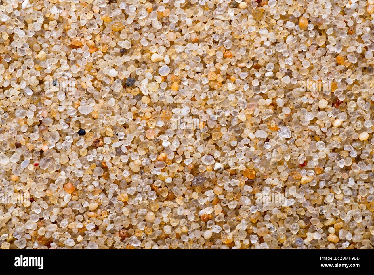 Texture. Calibrated Quartz Sand. Macro. Clean granules. Natural ...