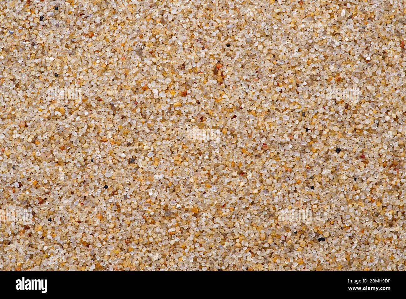 Texture. Calibrated Quartz Sand. Close-up. Clean granules. Smooth ...