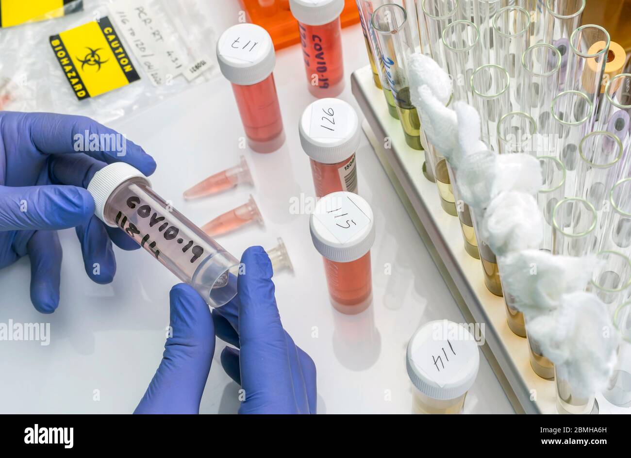 Scientist working on the DNA of a SARS-Cov-2 infected woman in a ...