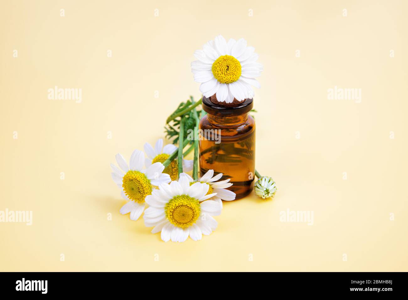 Neutral pastel hi-res stock photography and images - Alamy