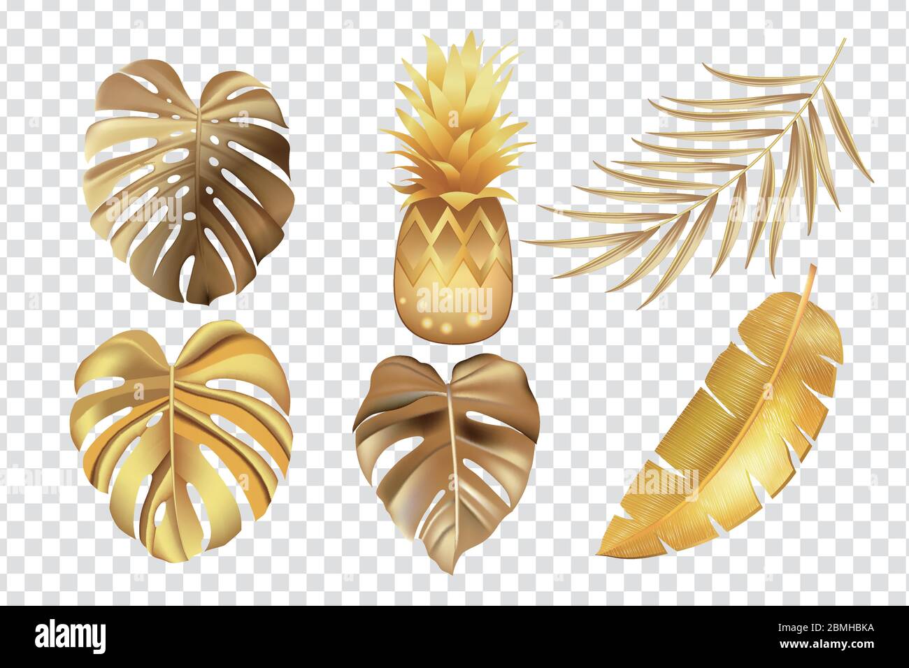 Gold tropical leaves set isolated on transparent background Stock ...