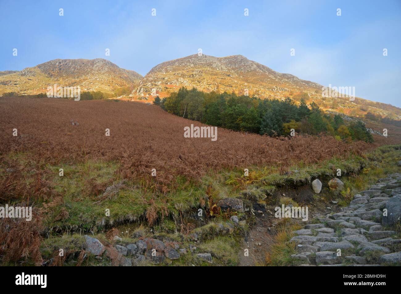 Lower tourist path at base of Ben Nevis in late afternoon autumn ...